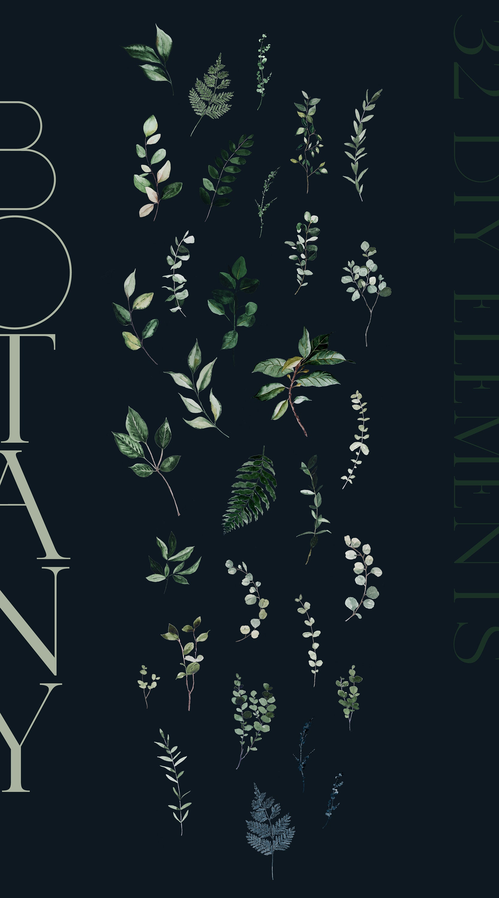 Watercolor Floral Elements, Floral Clipart, Floral Elements, Botanical ...