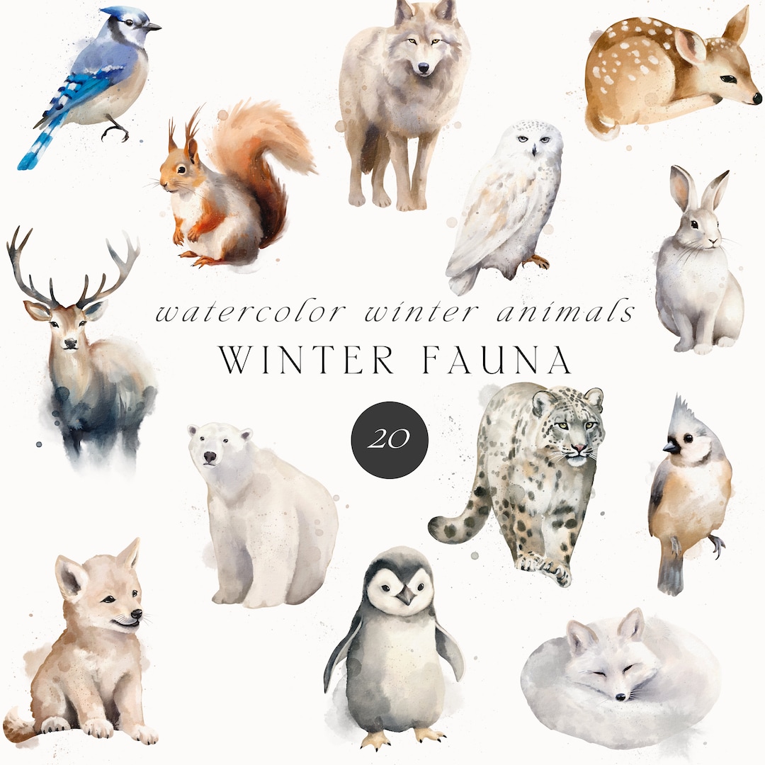 Watercolor Winter Fauna Clipart - Winter Animals Clipart - Winter ...