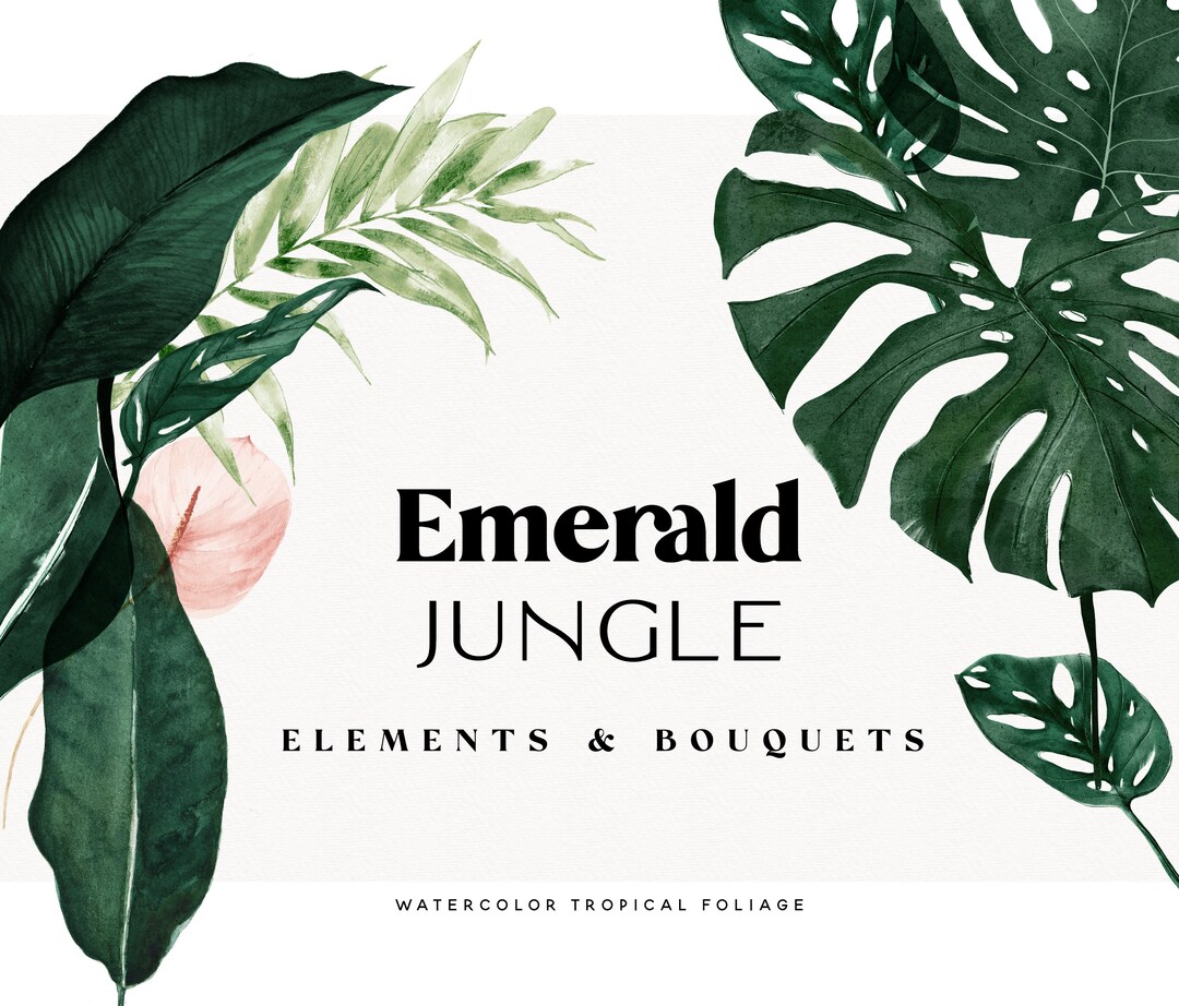 Tropical Jungle Watercolor Clipart Tropical Leaves Tropical Bouquets ...