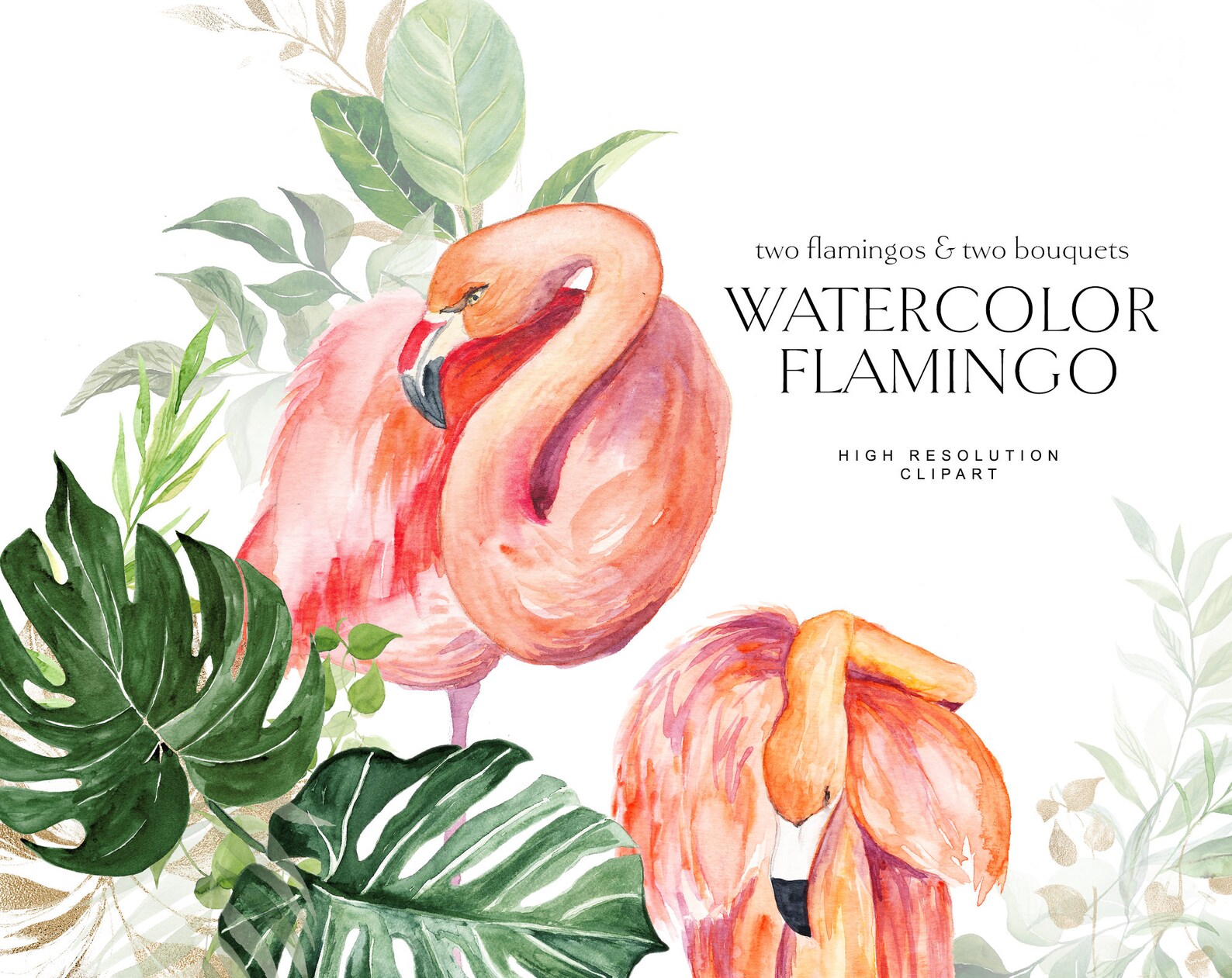 Watercolor Flamingo Clipart Flamingo Watercolor Tropical - Etsy