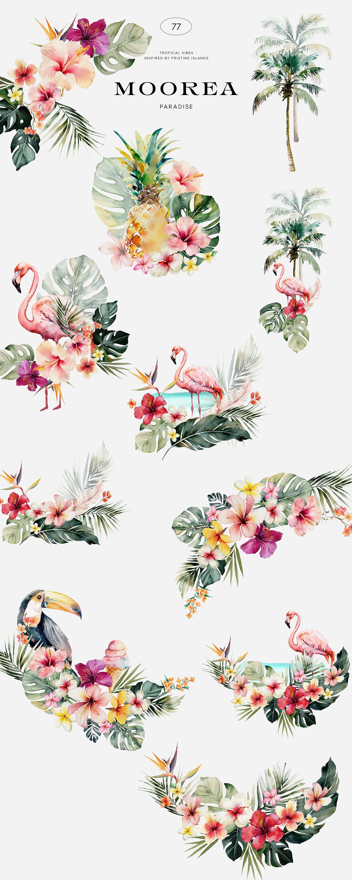 Tropical Watercolor Clipart - Summer Clipart - Tropical Clipart ...