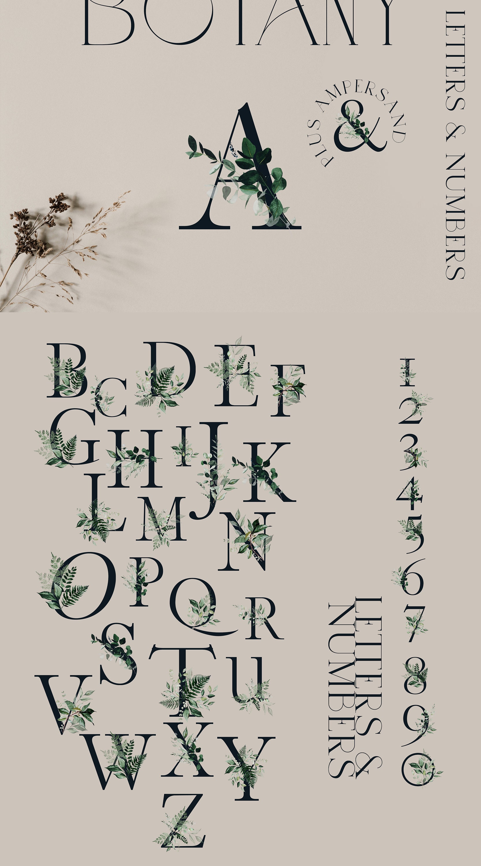 Botanical Alphabet Floral Alphabet Alphabet Clipart - Etsy