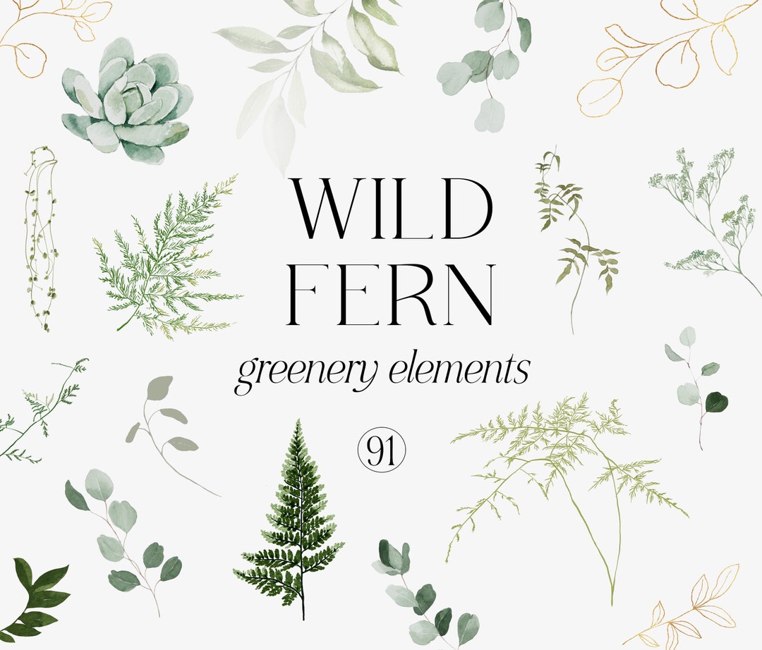 Watercolor Greenery Clipart - Eucalyptus Clipart - Watercolor ...