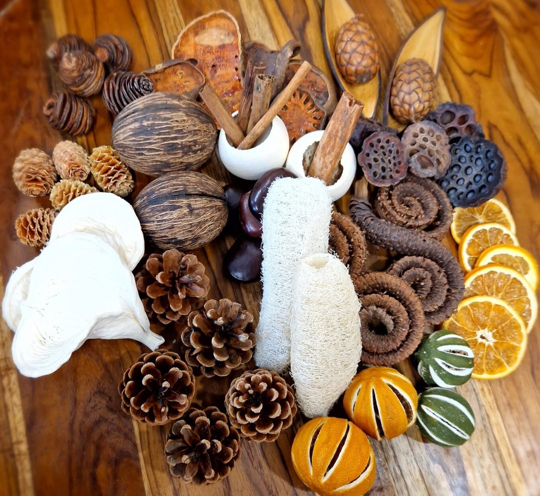 Loose Parts and Beyond Bundle Taster Set - Etsy