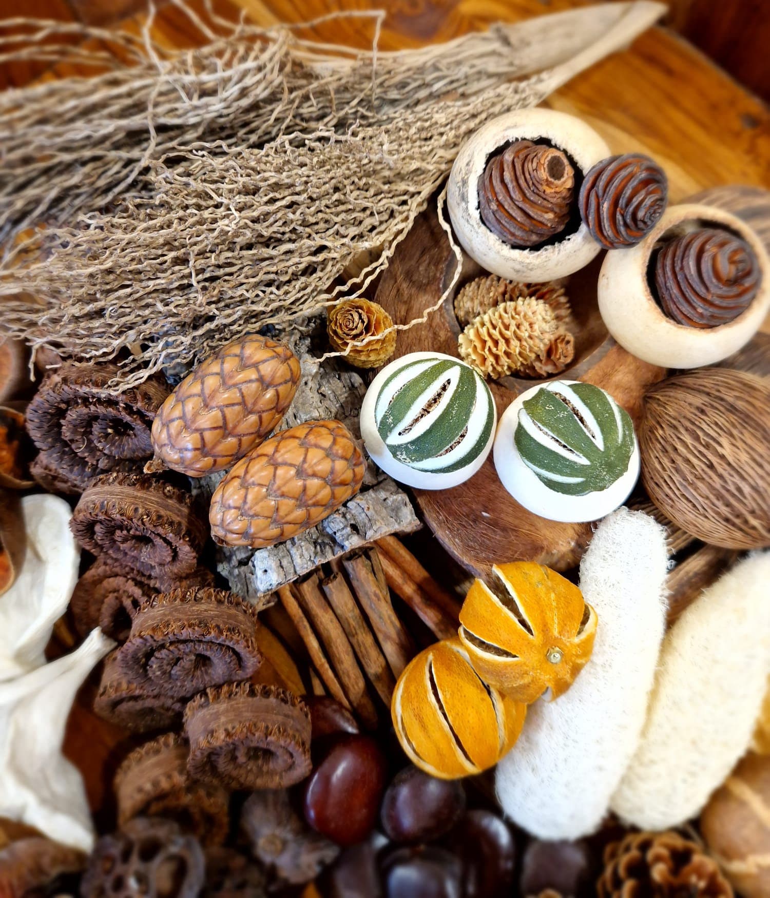 Natural Loose Parts Exploration Bundle Medium - Etsy