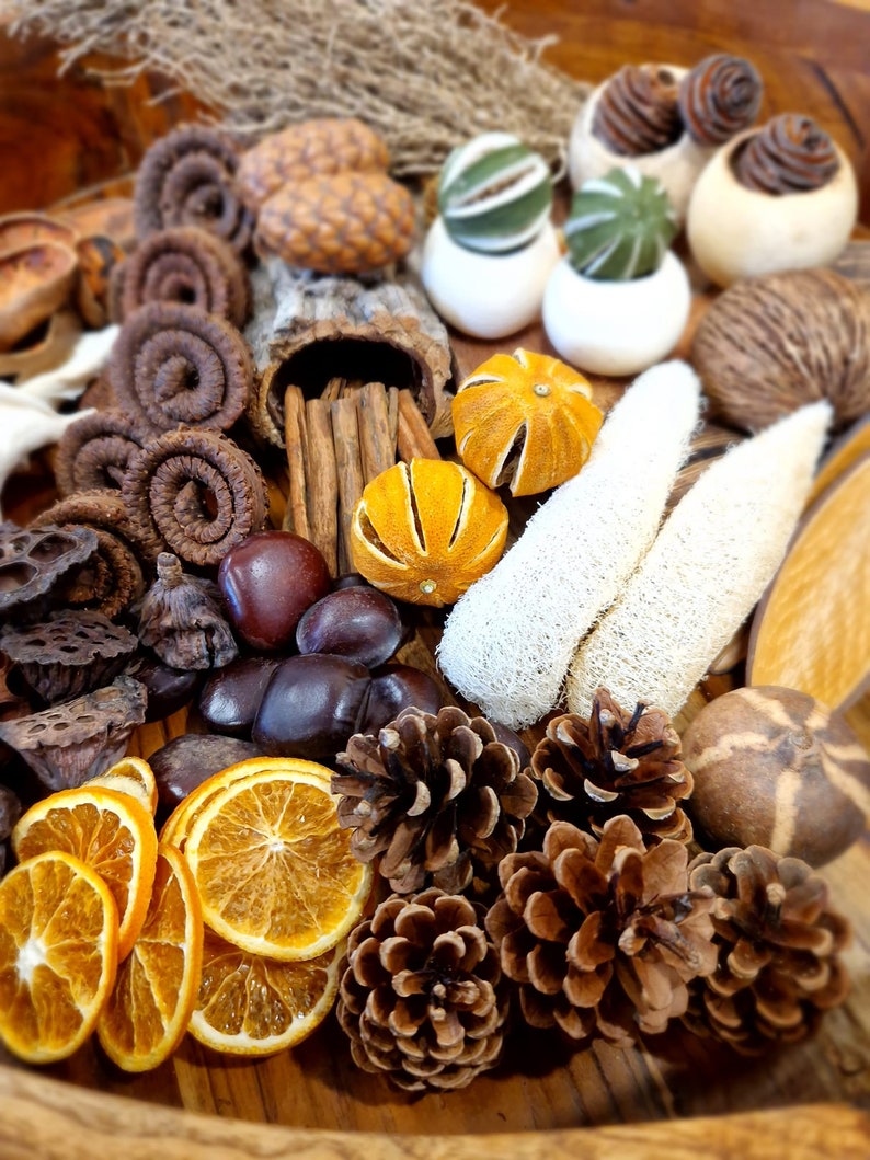 Natural Loose Parts Exploration Bundle Large - Etsy