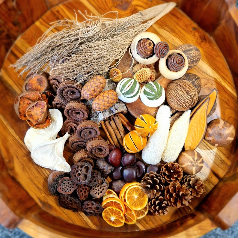 Natural Loose Parts Exploration Bundle Medium - Etsy