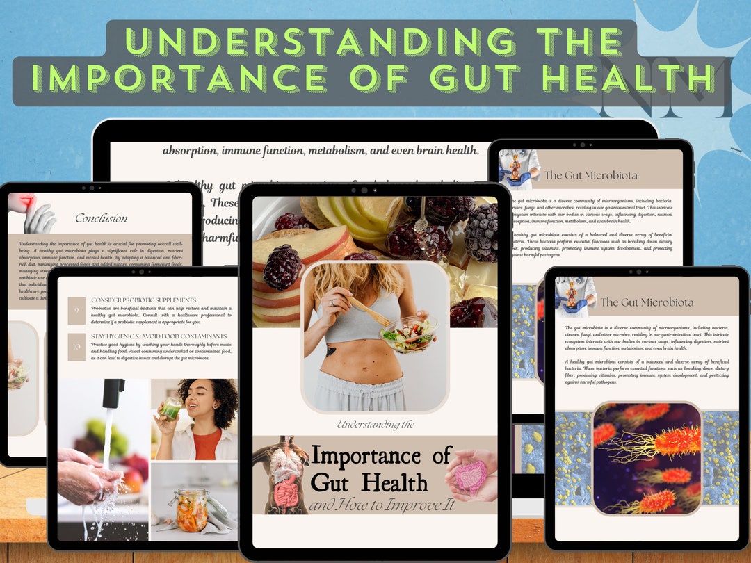 Understanding the Importance of Gut Health and How to Improve - Etsy