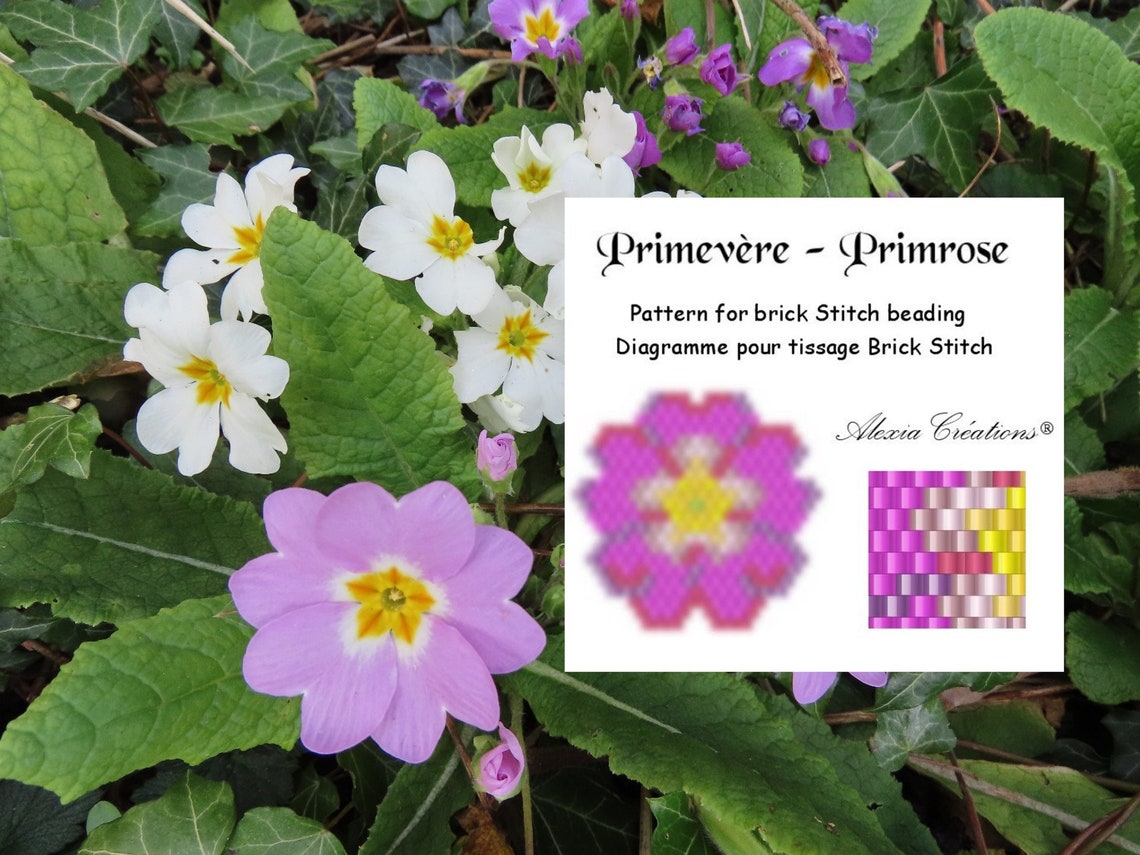 Brick Stitch Pattern to Bead a Primrose | Etsy