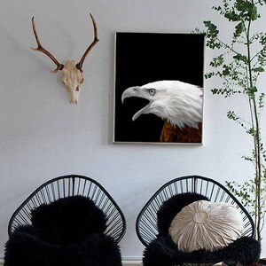 American Bald Eagle Print Printable Poster Art Animal Bird - Etsy