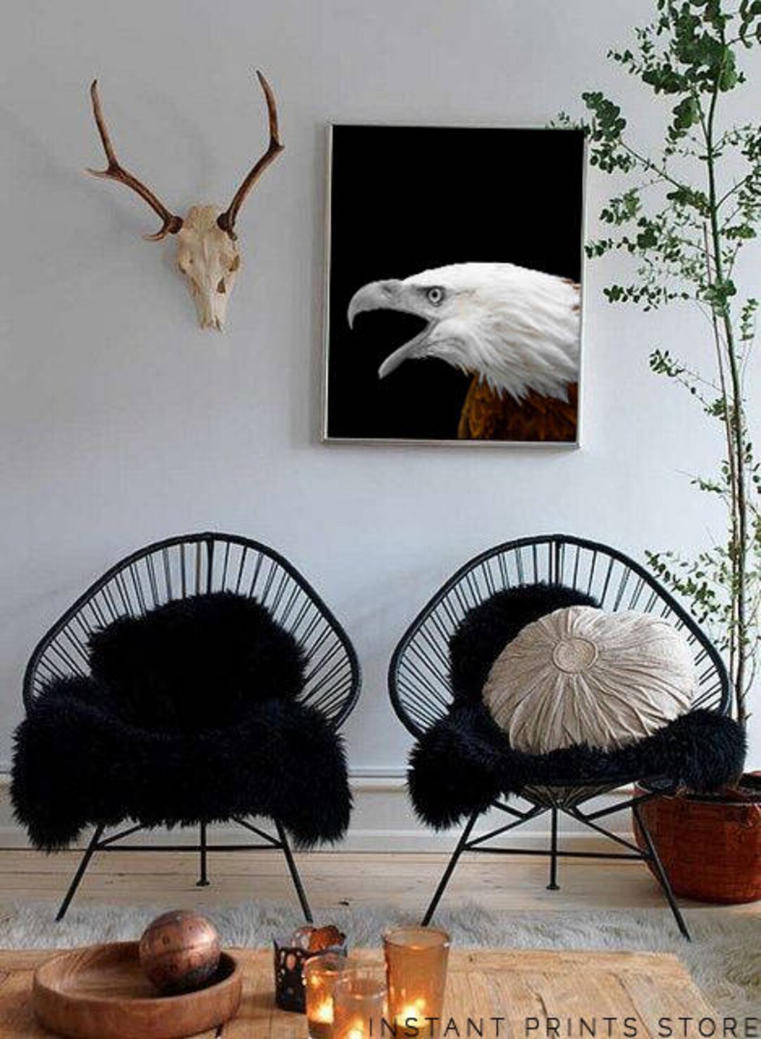 American Bald Eagle Print Printable Poster Art Animal Bird Photograph ...