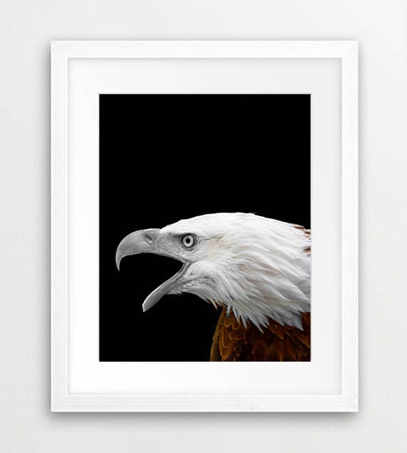 American Bald Eagle Print Printable Poster Art Animal Bird - Etsy