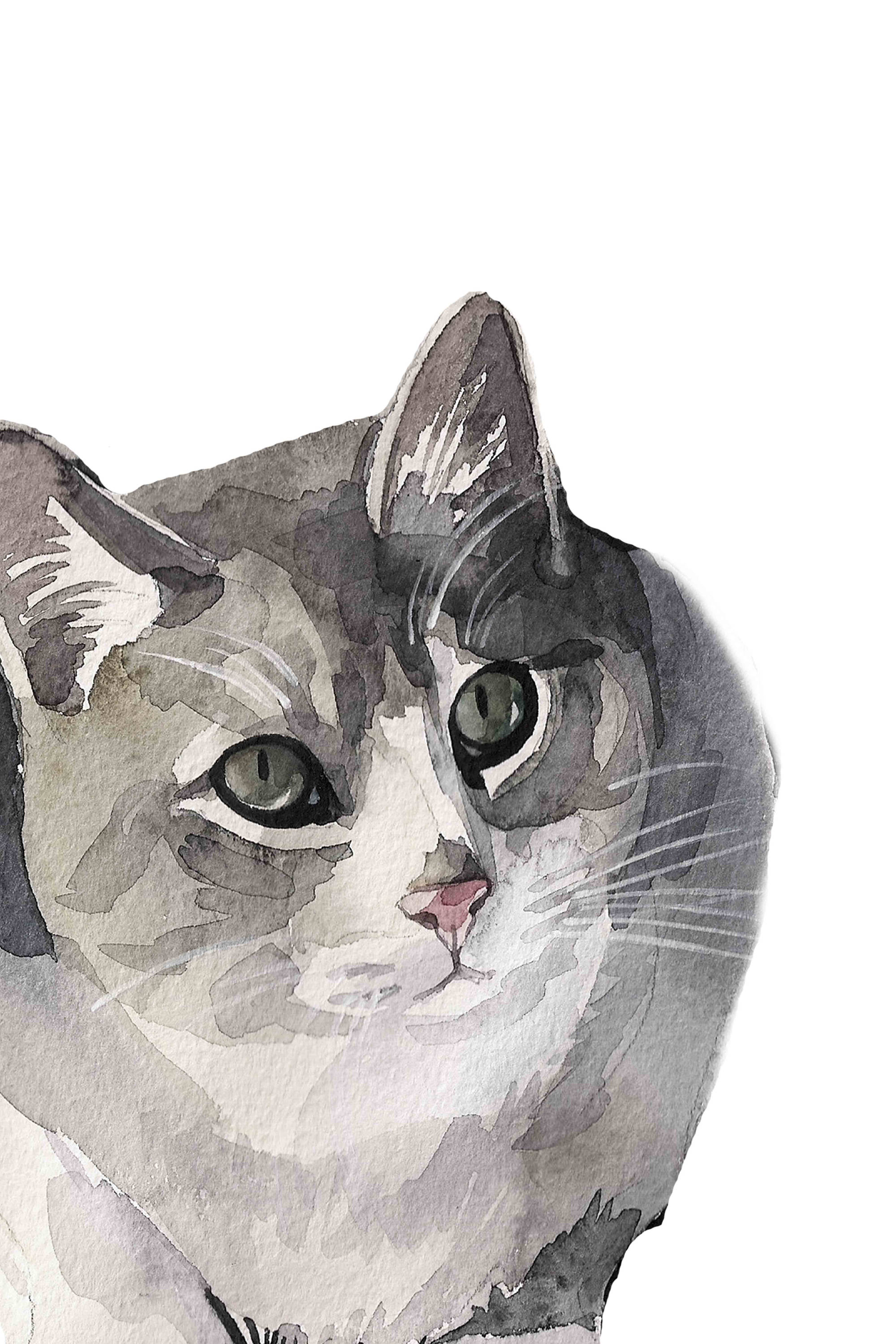 Grey White Cat Print Art Printable Poster Animal Modern - Etsy Singapore