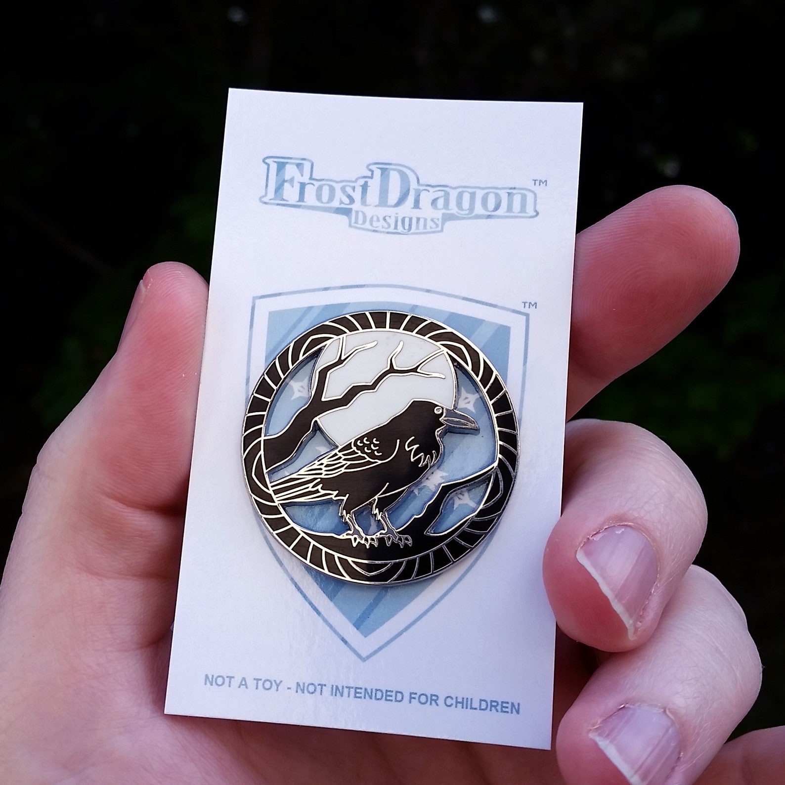 Encircled Raven Pin Crow Pin Black Bird Pin Hard Enamel - Etsy