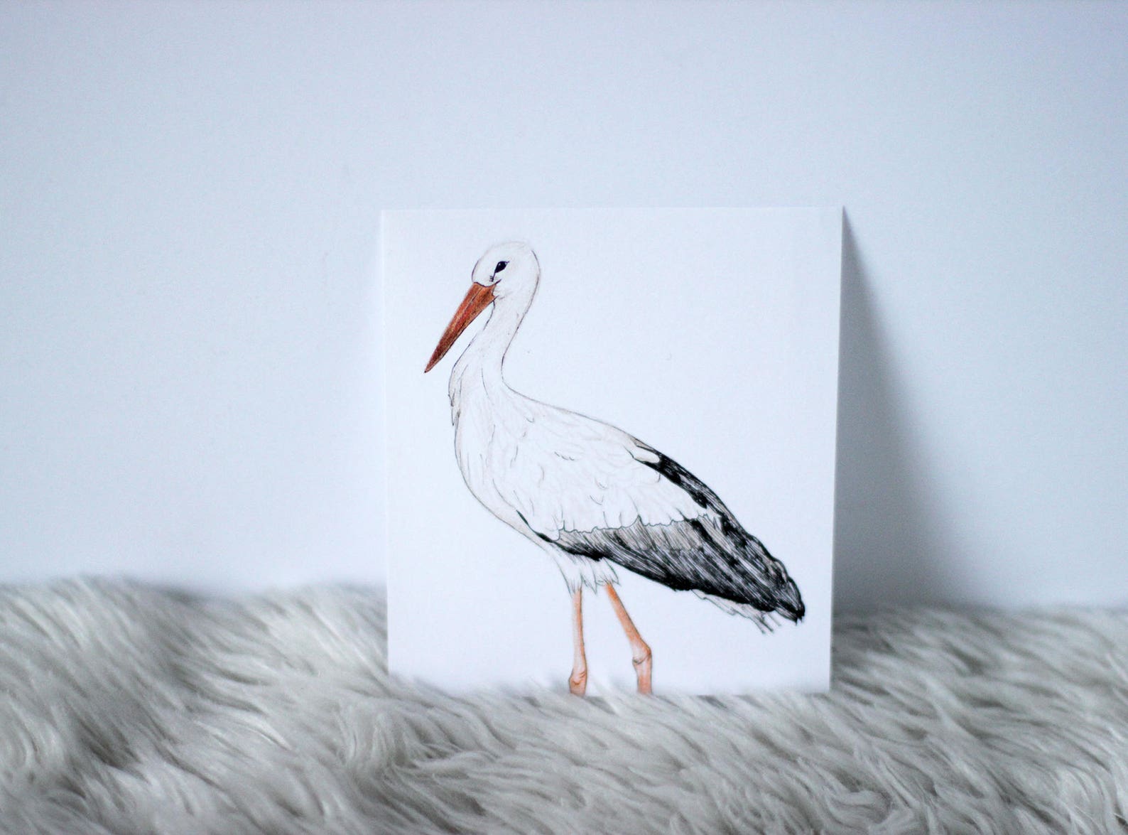 Original Stork Drawing: Coloured Pencil Realism - Etsy