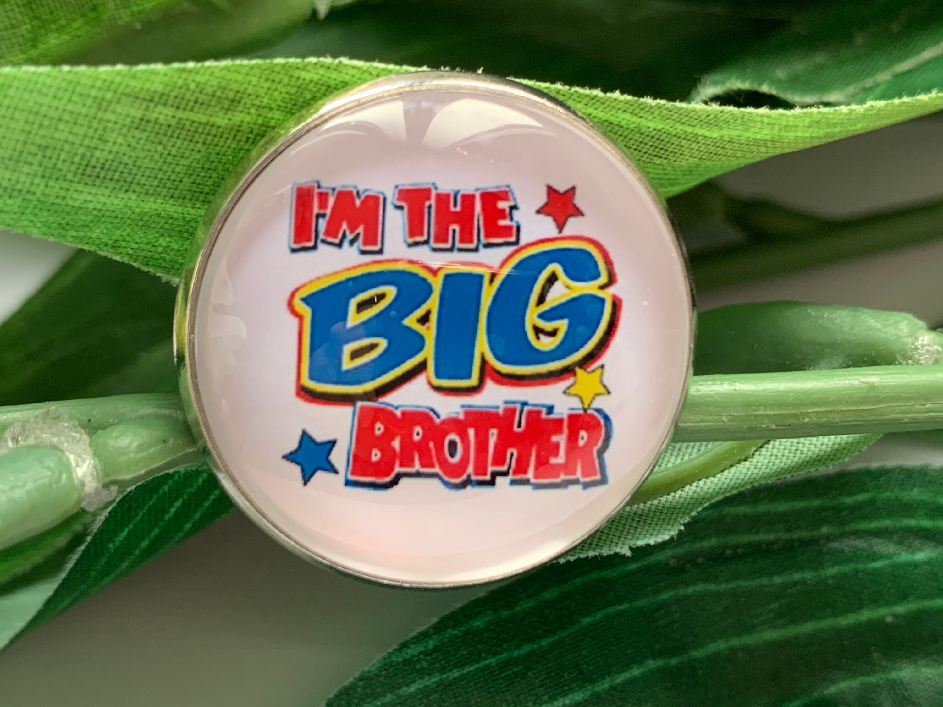 Big Sister Badge, Big Brother Badge, Big Sister Gifts, Novelty Badges ...
