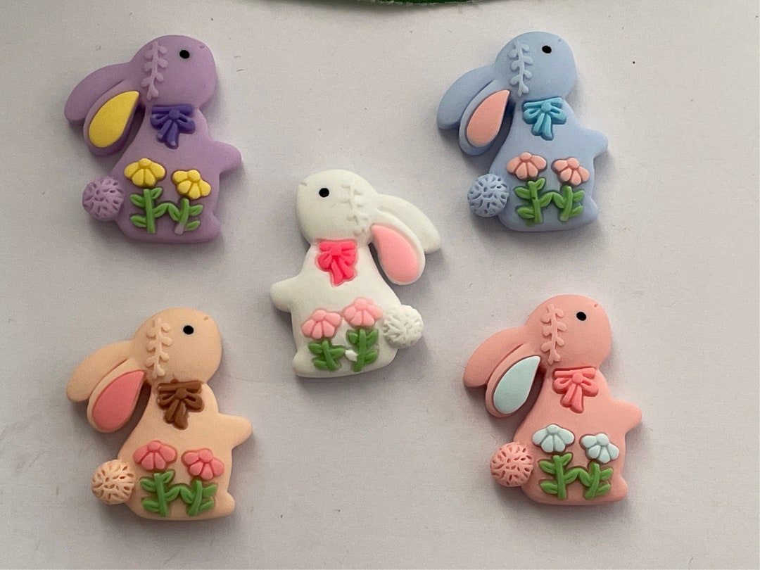 Set of 5 Bunny Rabbit Magnets, Ballerina Magnets, Fridge Magnets ...