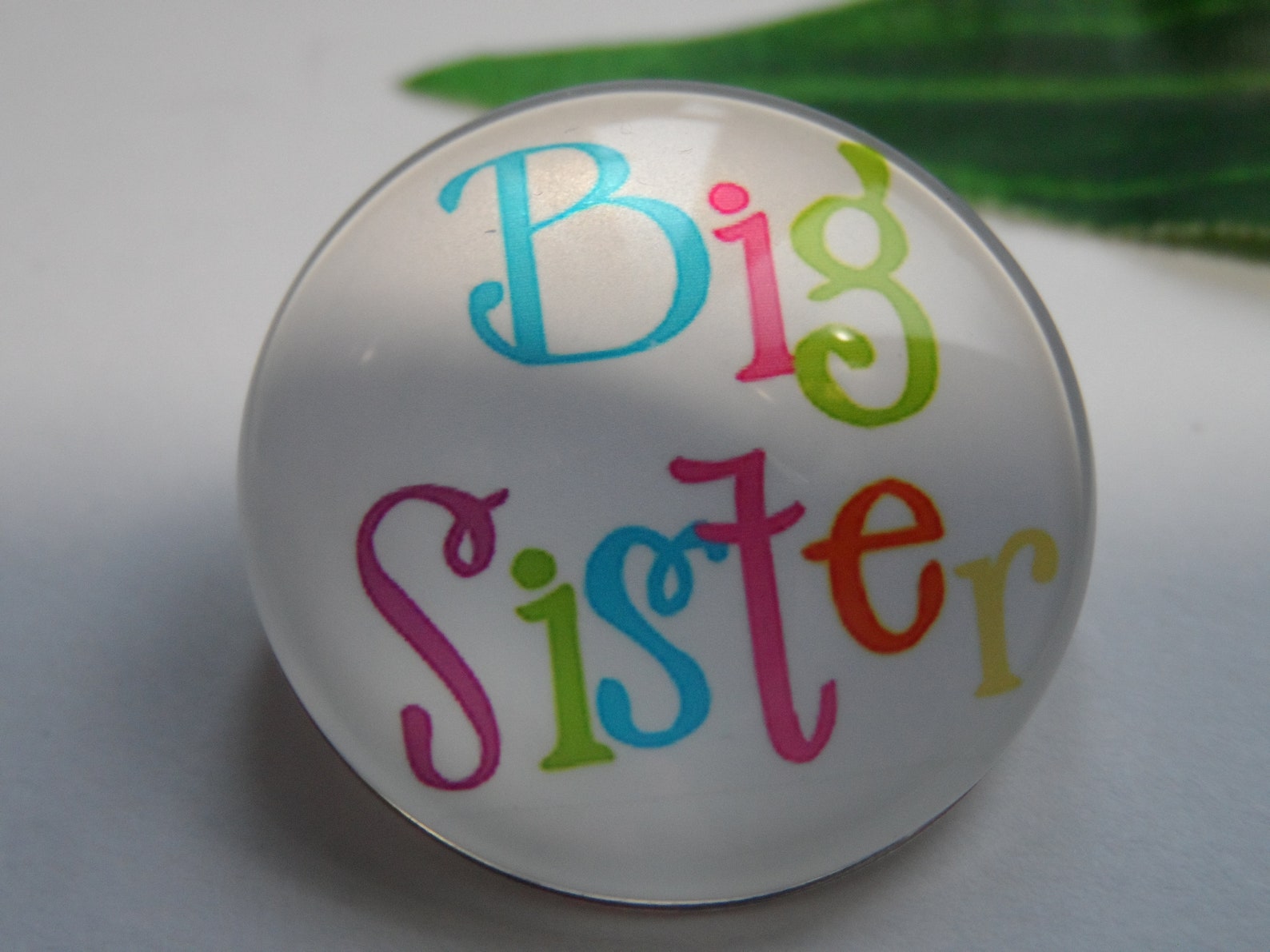 Big Sister Badge Big Brother Badge Big Sister Gifts Novelty - Etsy