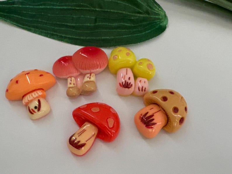 Set of 5 Mushroom Magnets, Mushrooms Magnets, Fridge Magnets, Locker ...