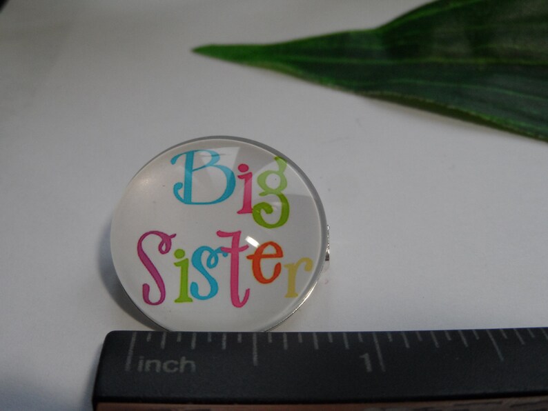 Big Sister Badge Big Brother Badge Big Sister Gifts Novelty - Etsy