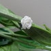 Child's Adjustable White Flower Ring, Toddler Rings, Kids Rings ...