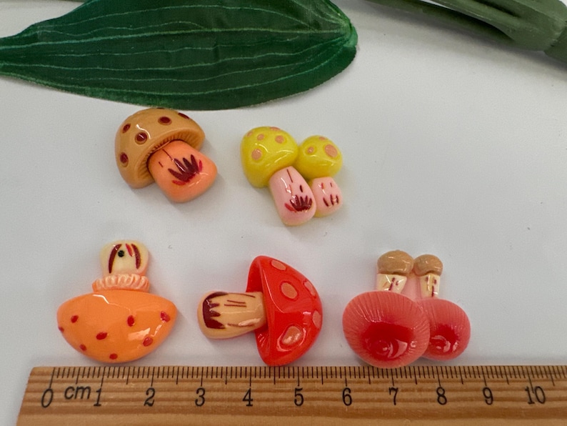 Set of 5 Mushroom Magnets, Mushrooms Magnets, Fridge Magnets, Locker ...