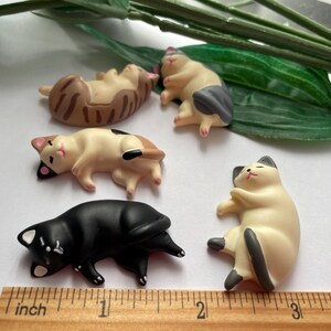 Set of 5 Cat Magnets, Cat Magnets, Fridge Magnets, Locker Magnets ...
