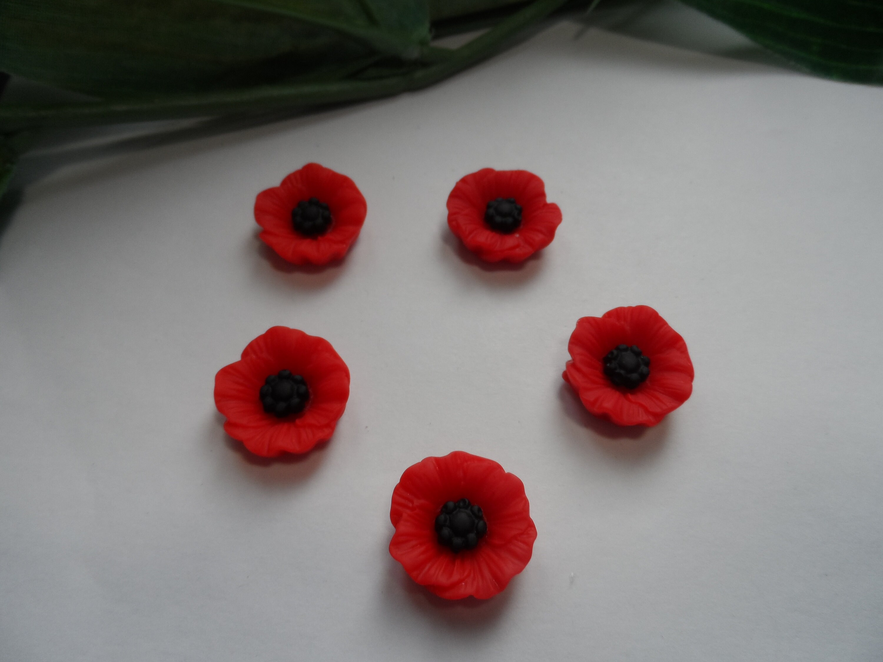 Set of 5 Poppy Magnets Poppy Magnets Fridge Magnets Locker - Etsy Ireland