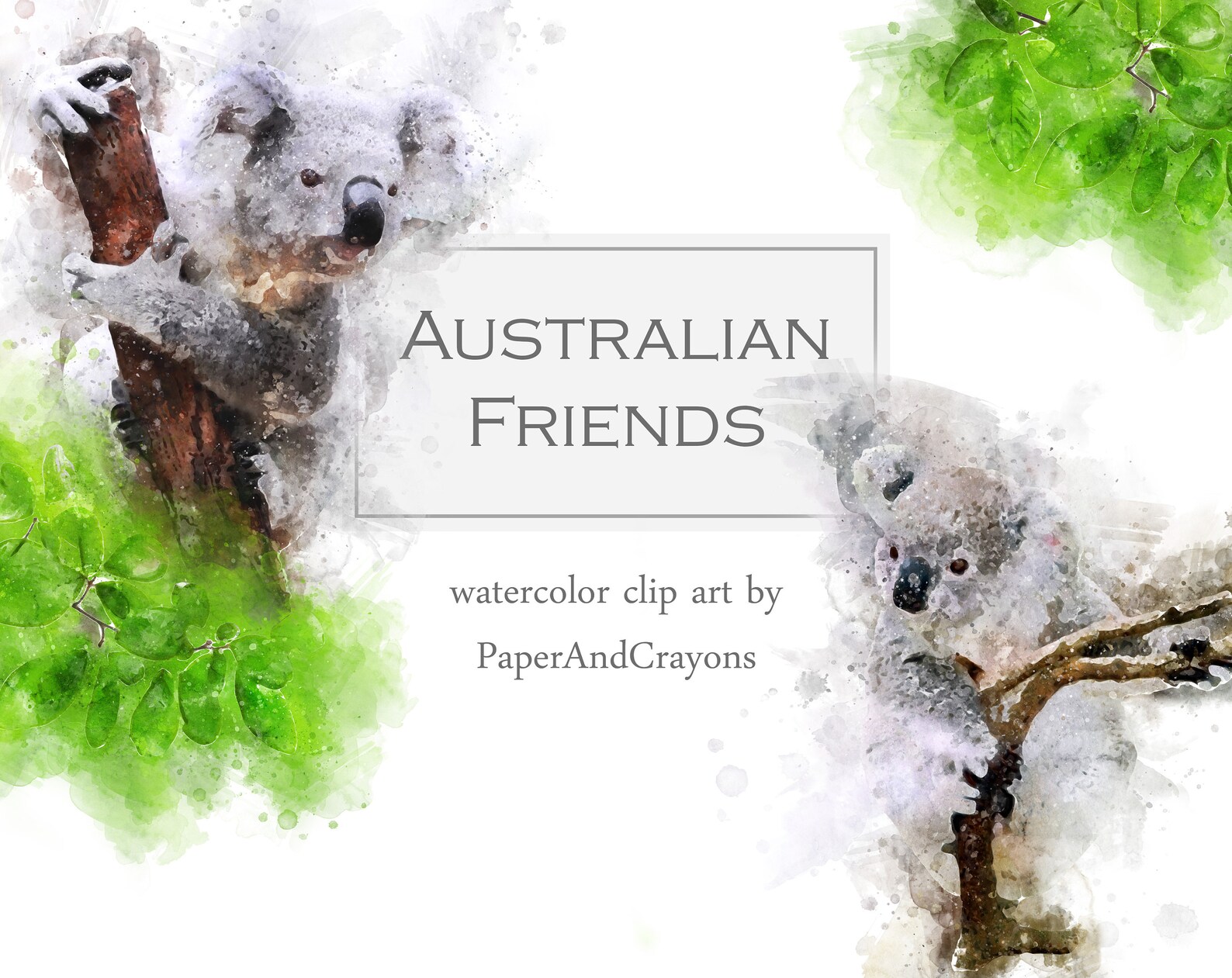 Australian Animal Watercolor Clipart Animal Clip Art Animal - Etsy