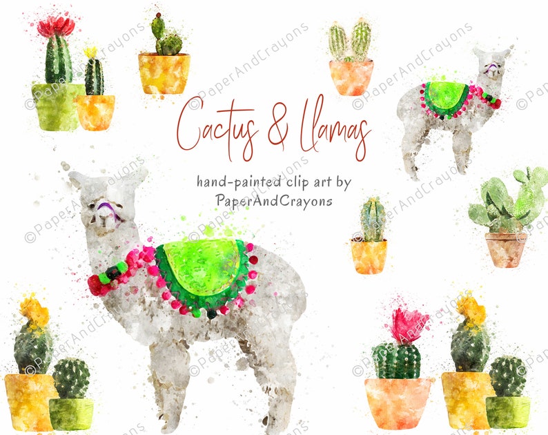 Watercolor Cactus & Llama Clipart Set, Succulent Clip Art, Animal ...