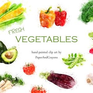 Vegetables Clipart, Fresh Vegetables Watercolor Clip Art, Veggie ...