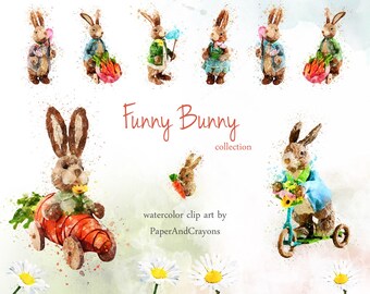 Giraffe Clipart Cute Giraffes Watercolor Clip Art Safari - Etsy Israel