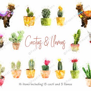 Watercolor Cactus & Llama Clipart Set, Succulent Clip Art, Animal ...