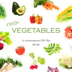 Vegetables Clipart, Fresh Vegetables Watercolor Clip Art, Veggie ...