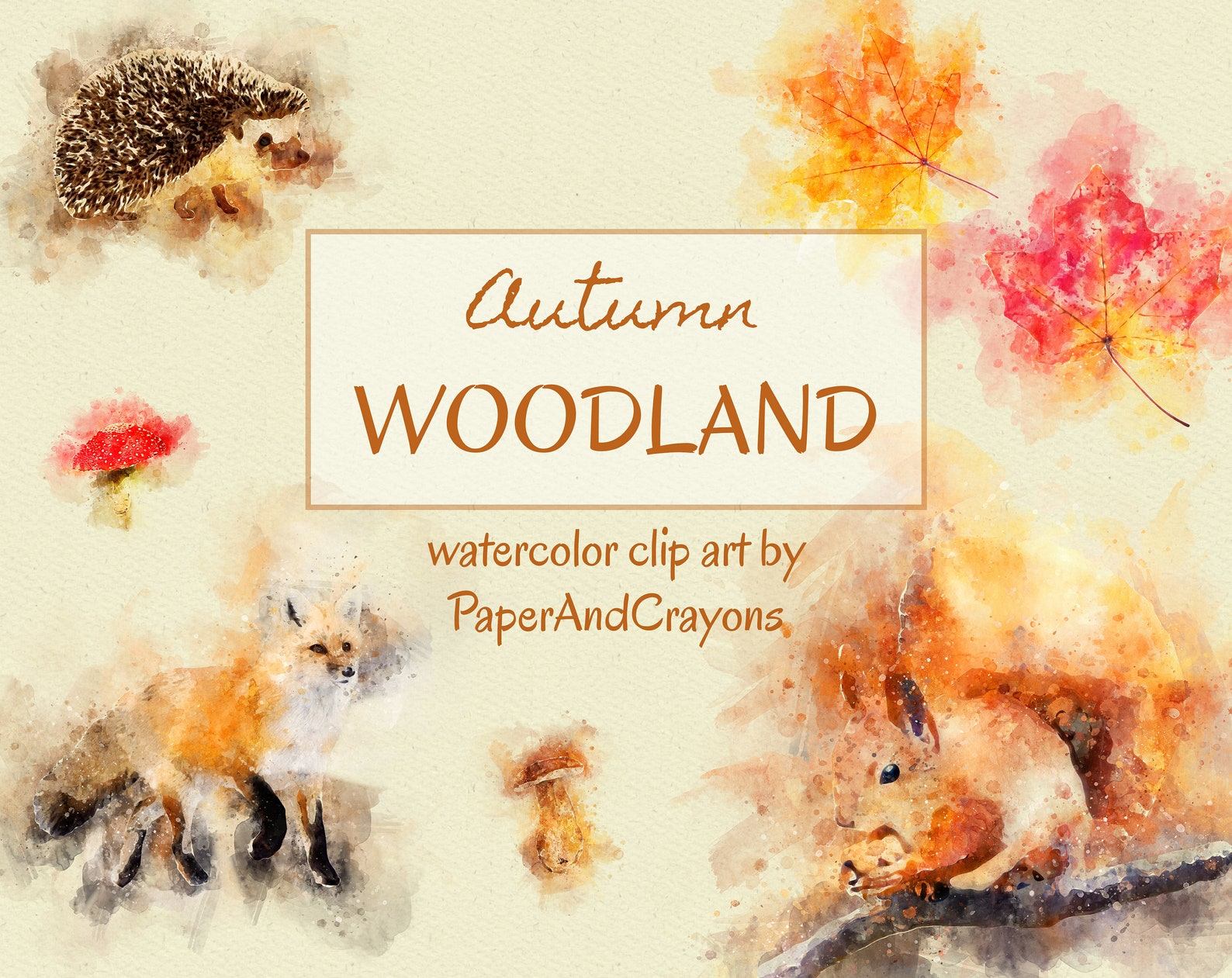 Autumn Woodland Animals Watercolor Clipart Fall Clip Art - Etsy