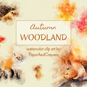 Autumn Woodland Animals, Watercolor Clipart, Fall Clip Art, Animal ...