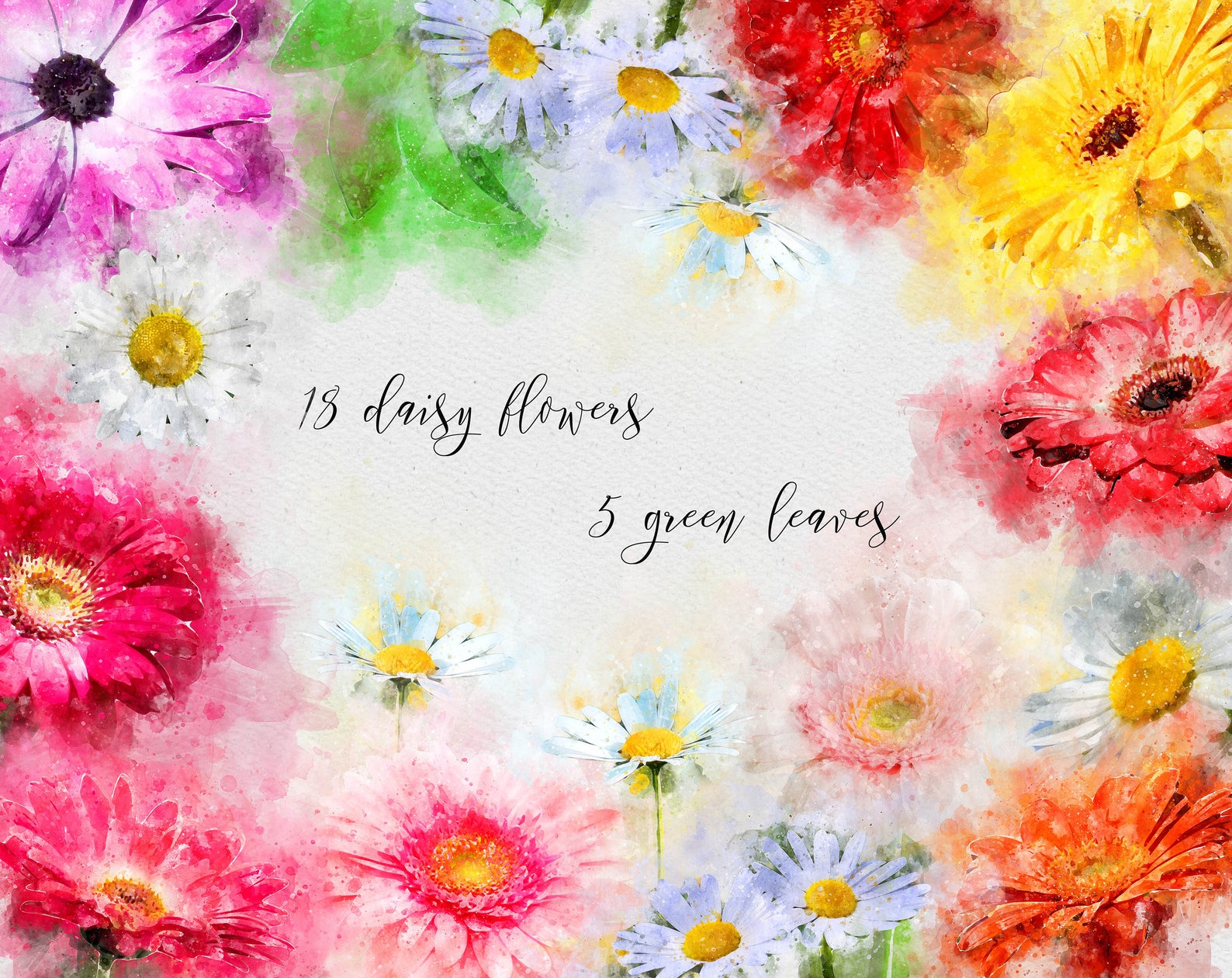 Daisy Floral Clipart Summer Watercolor Clipart Flower Clip - Etsy