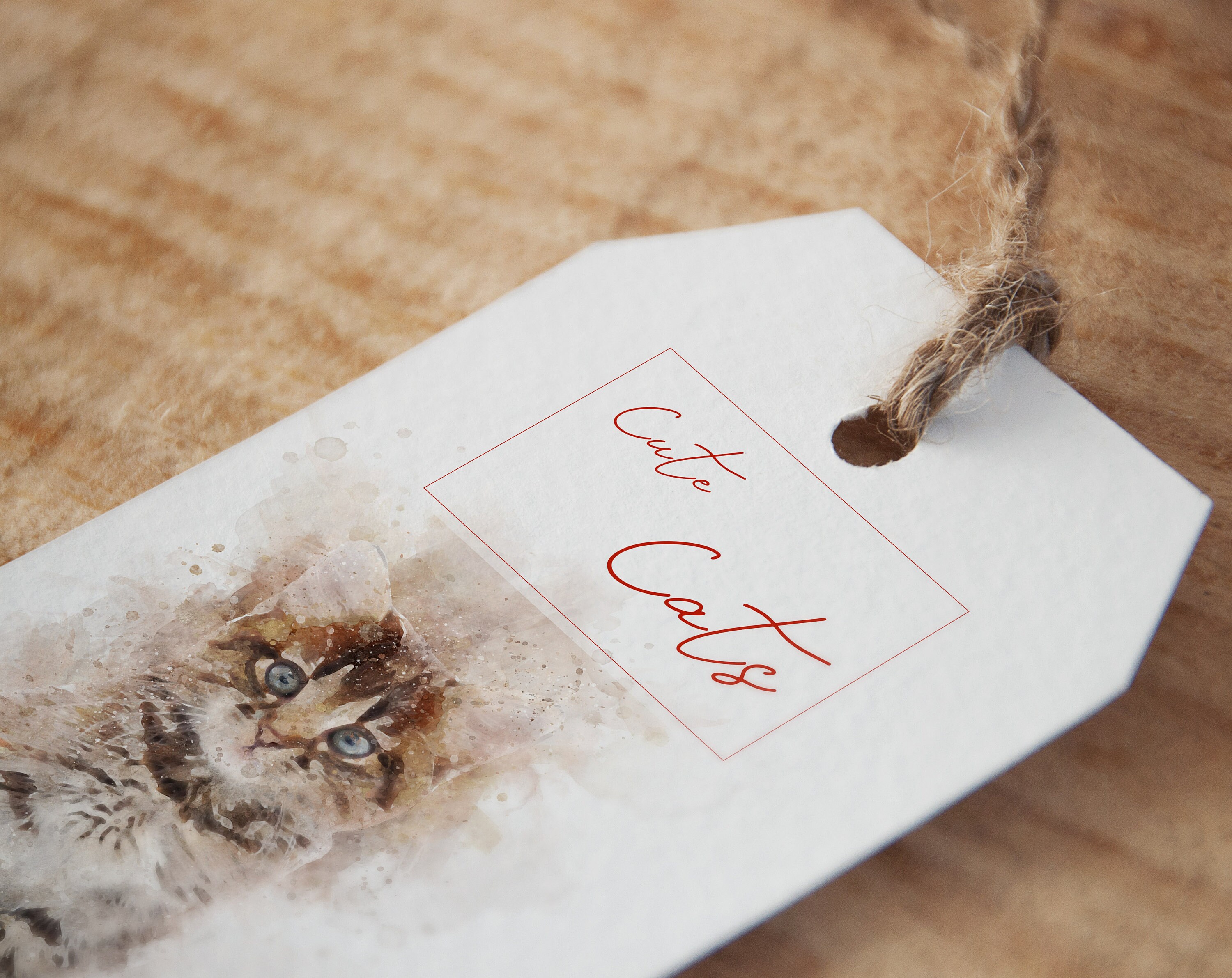 Cat Clipart, Cute Cats Watercolor Clip Art Vol. II, Kitten, DIY ...