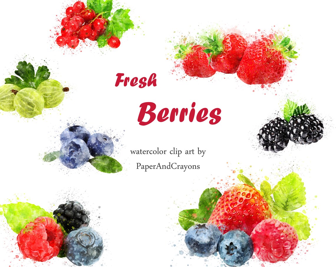 Fruit Clipart Fresh Berries Watercolor Clip Art Fruits | Etsy