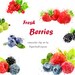 Fruit Clipart Fresh Berries Watercolor Clip Art Fruits - Etsy