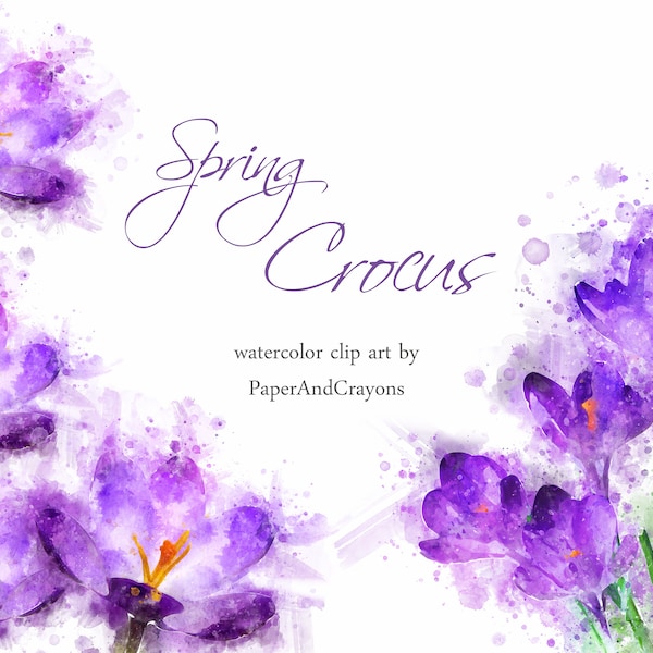 Saffron Watercolor - Etsy