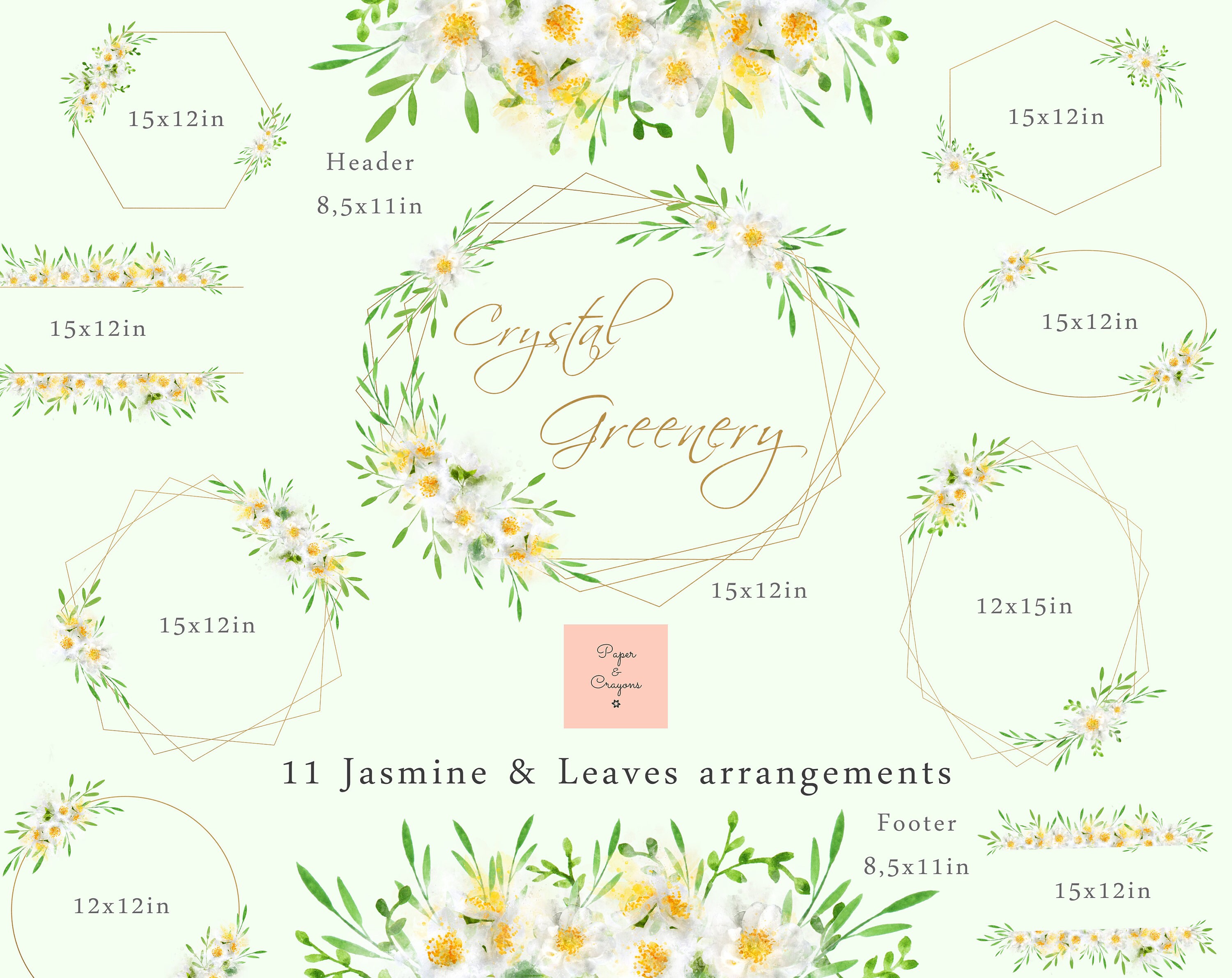 Watercolor Greenery Geometric Clipart Floral Frames Clip Art | Etsy Canada