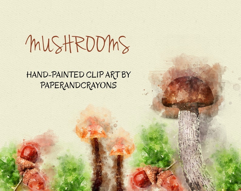Mushroom Clipart Fall Watercolor Clip Art Woodland - Etsy