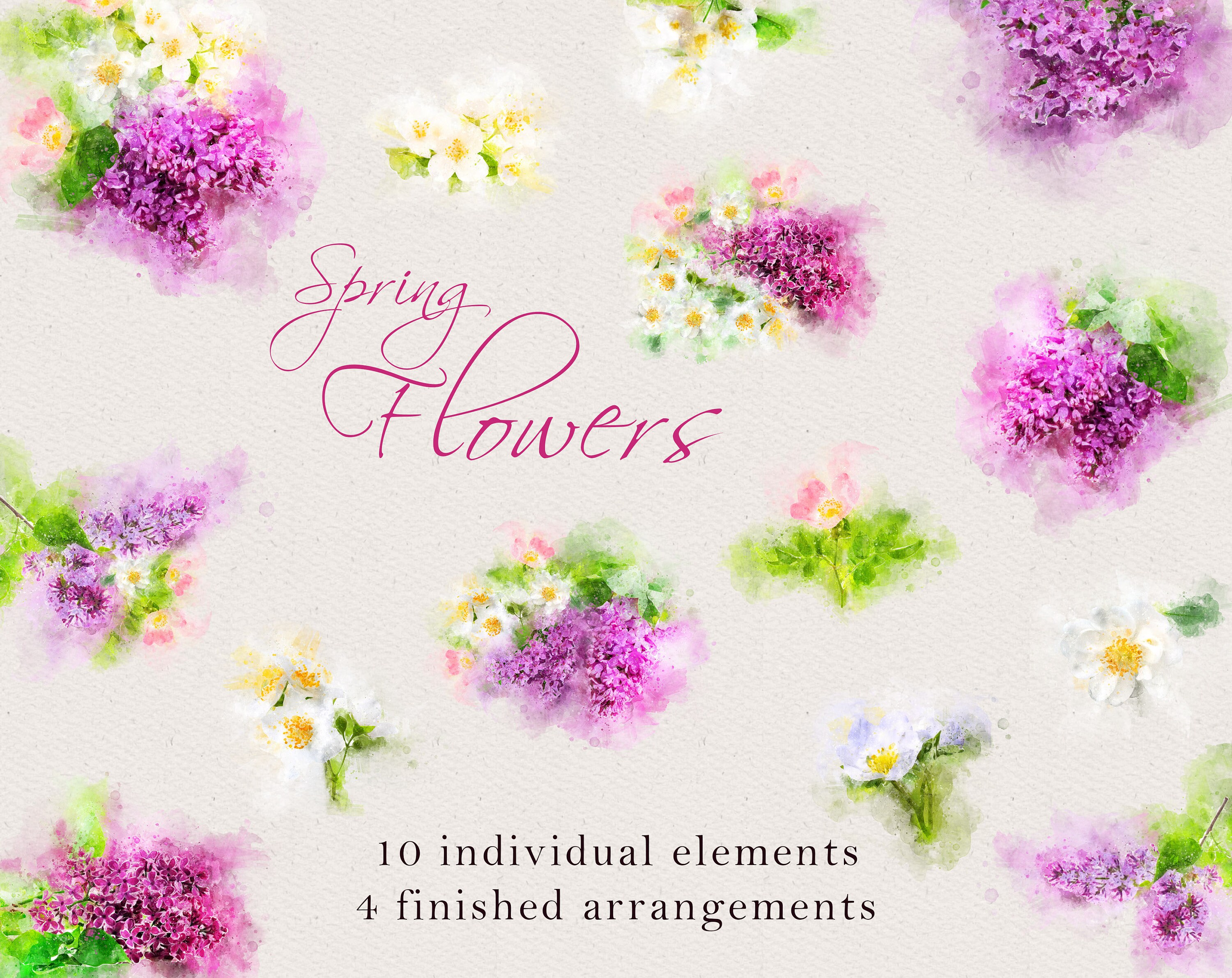 Spring Flowers Clipart Watercolor Clip Art White Purple - Etsy Israel