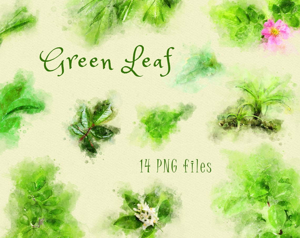 Green Leaf Watercolor Clipart Greenery Clip Art Green Leaves - Etsy