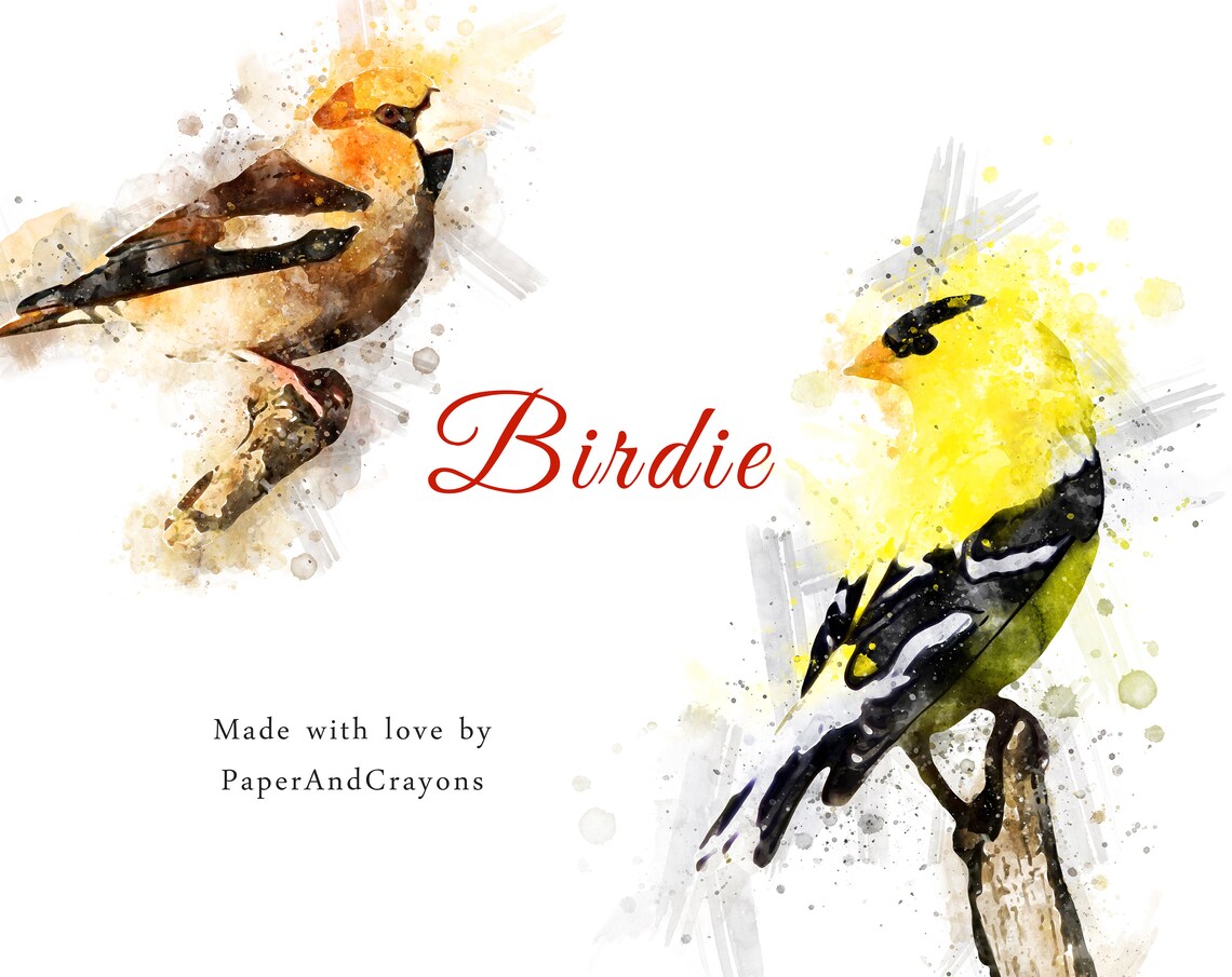 Watercolor Birdie Bird Clipart Birds Clip Art Animal - Etsy