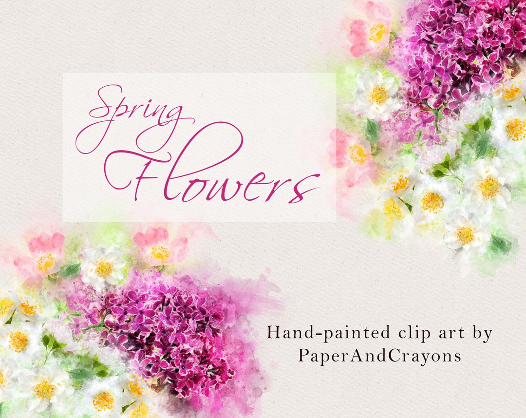Spring Flowers Clipart, Watercolor Clip Art White, Purple Graphics ...