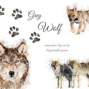 Grey Wolf Clipart, Animal Watercolor Clip Art, Wolves, Dogs, DIY ...