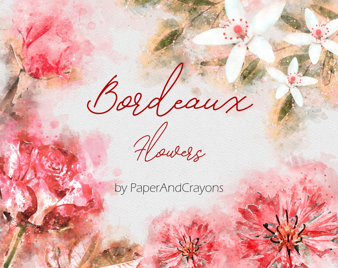 Bordeaux Watercolor Clipart Set Red Floral Clip Art Burgundy - Etsy