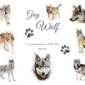 Grey Wolf Clipart, Animal Watercolor Clip Art, Wolves, Dogs, DIY ...